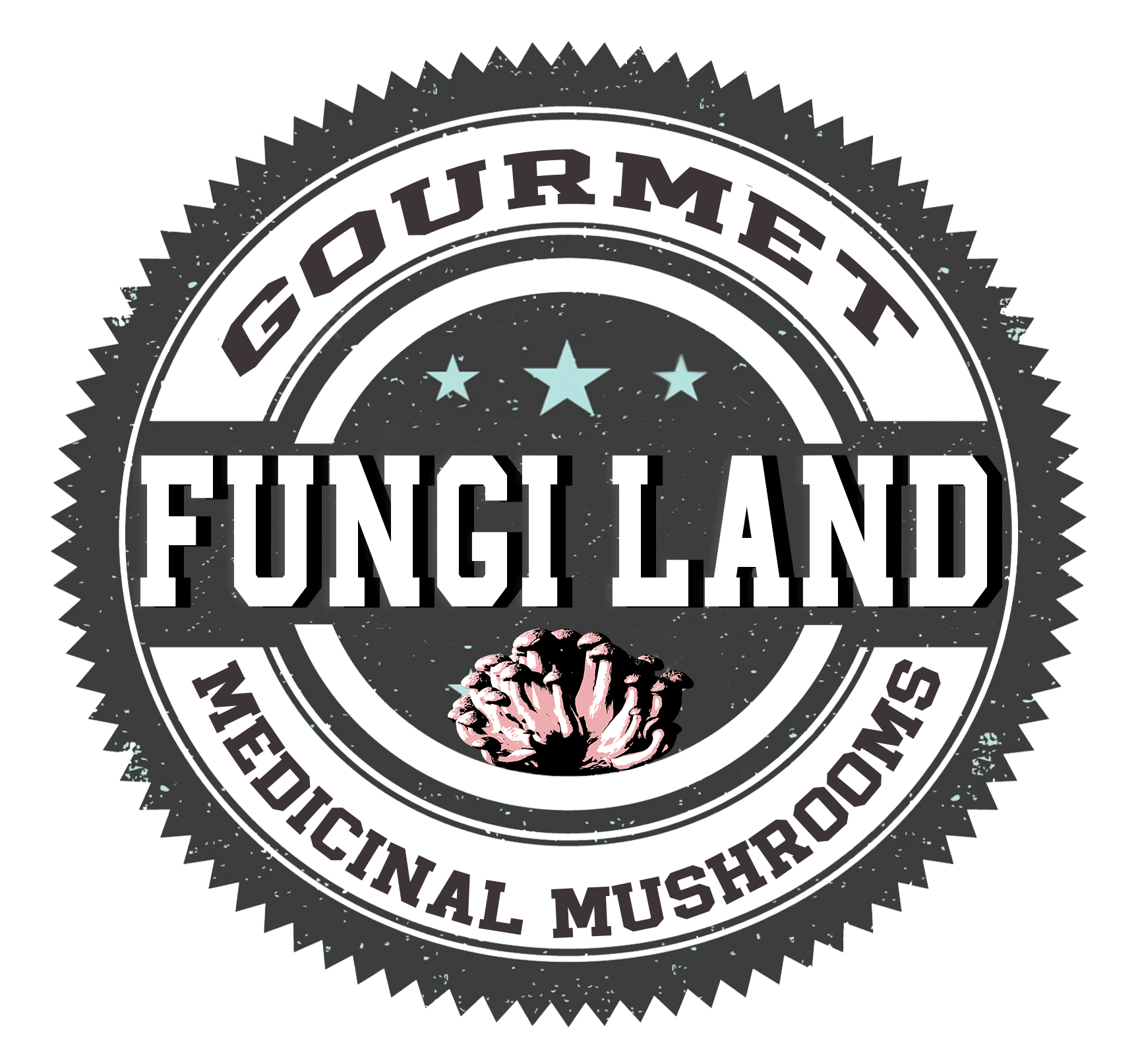FungiLand – Mycelia, Sadby hub, Pěstovací sady, Gurmánské a medicinální ...